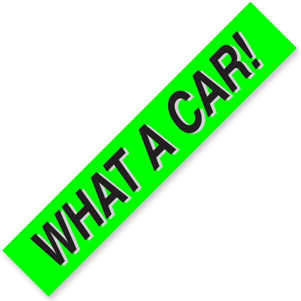 DS-221W4 - WHAT A CAR! Windshield Slogan Signs - DS-221W4