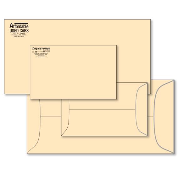 DS-516 Imprinted License Plate Mailing Envelopes